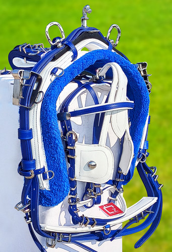 QUICK HITCH BIOTHANE HORSE DRIVING HARNESS BLUE & WHITE COLOR ...