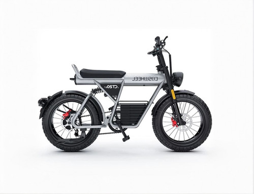 COSWHEEL - CT20S | PETER E-BIKE
