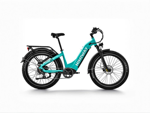 HIMIWAY - D5 Zebra ST | PETER E-BIKE