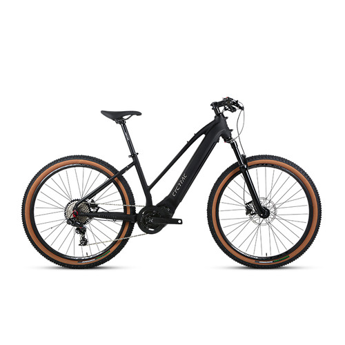 CYCTRAC - EC1 | PETER E-BIKE