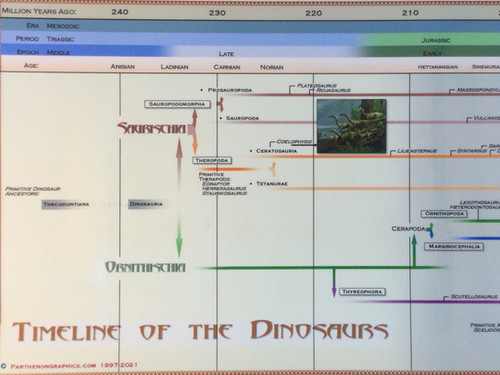 Timeline of The Dinosaurs | ParthenonGraphics