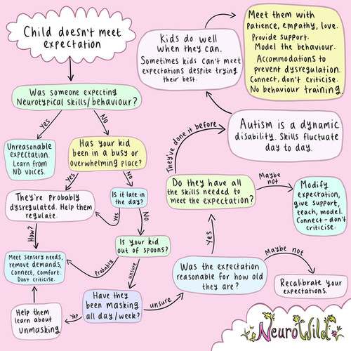 Child Doesn't Meet Expectation Flowchart (single image) | NeuroWild