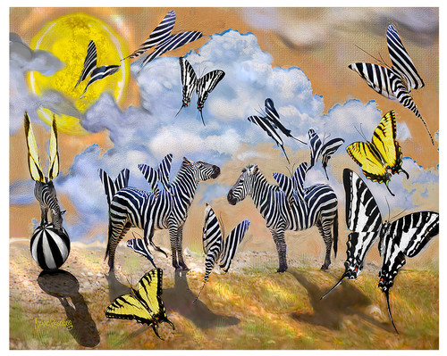 Zebras & Tigers | OASIS