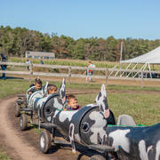 FALL FESTIVAL | Argos Farm | Forked River, NJ