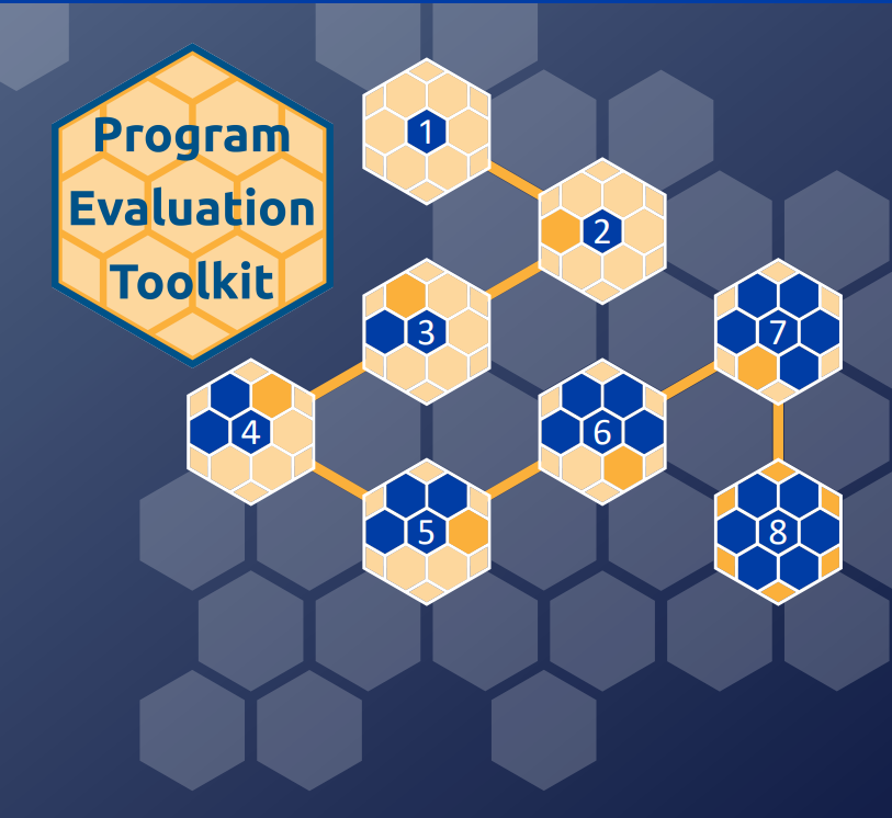 Effective Evaluations: Strategies for Successful Implementation using ...