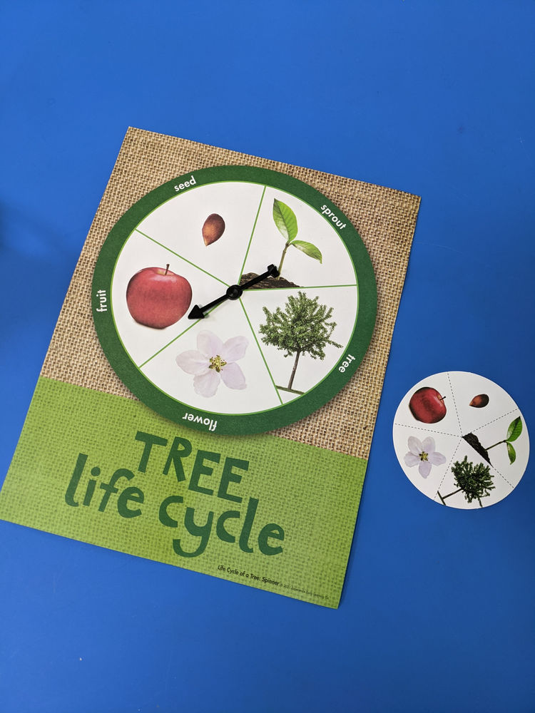 Tree Activities for Preschoolers