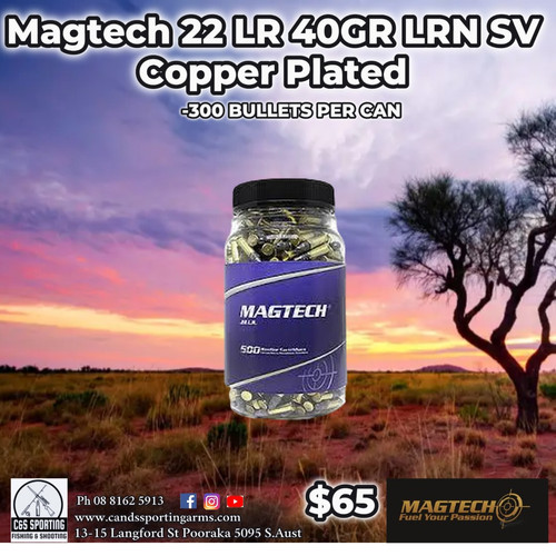 Magtech 22 LR 40GR LRN SV Copper Plated | C&S Sporting Arms