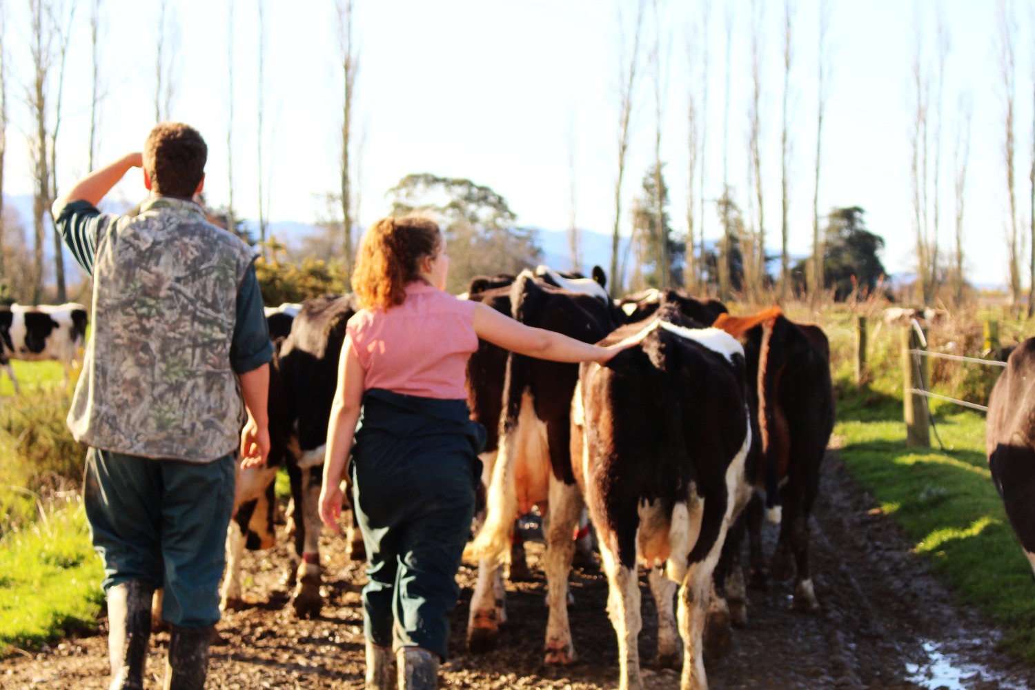 Riverside Farm | What We Do | Riverside Community NZ