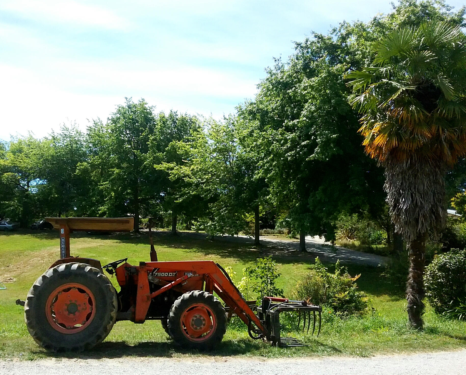 Riverside Farm | What We Do | Riverside Community NZ