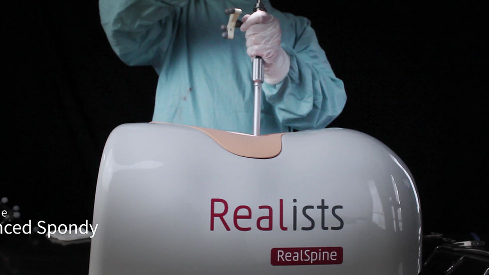 Spine Simulator | Realists | Leipzig