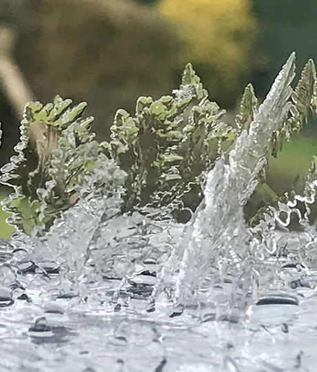 Home | Author Christopher Meredith