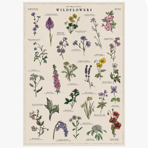 British Wildflowers | Lást Maps