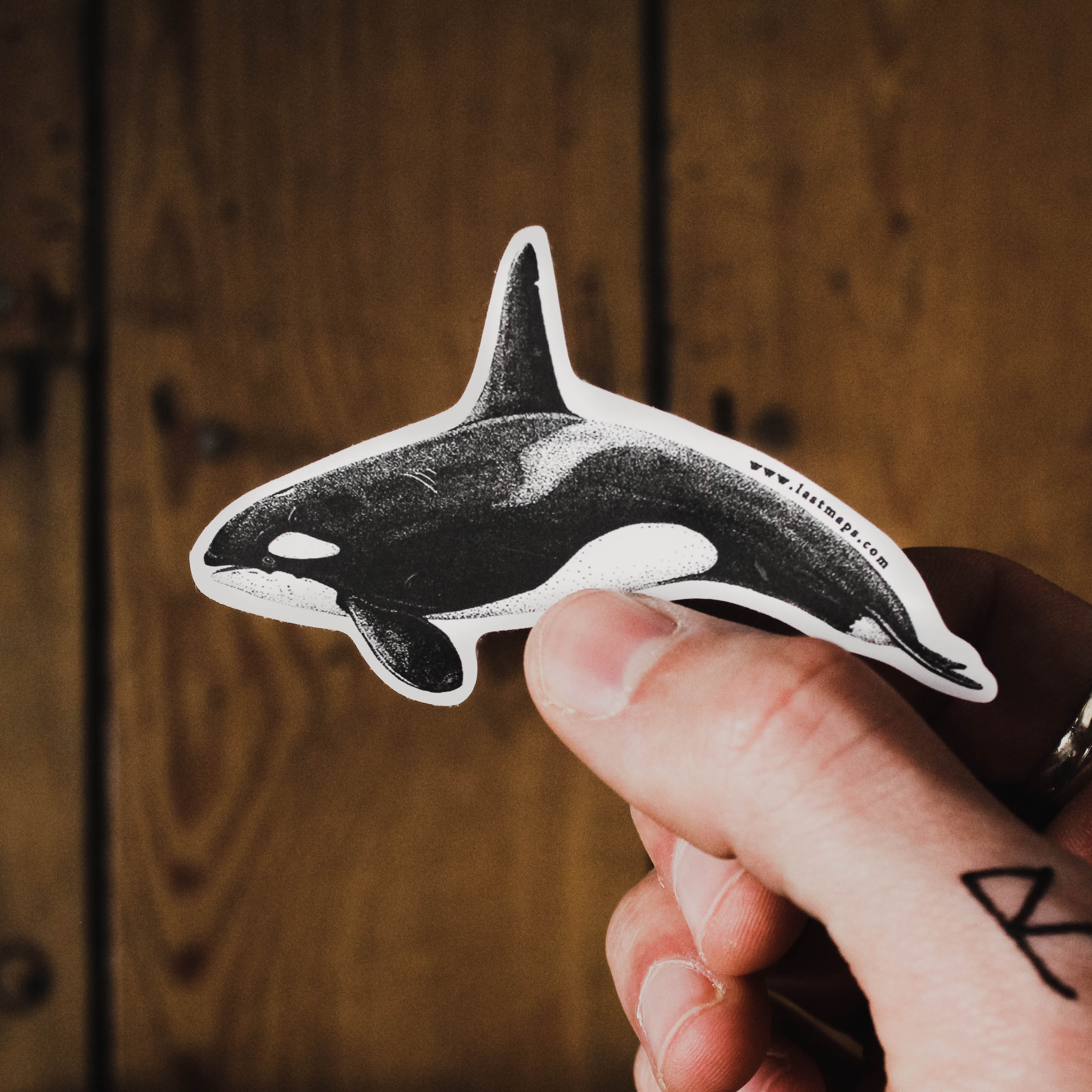 Paper Stickers orca matte sticker etna.com.pe