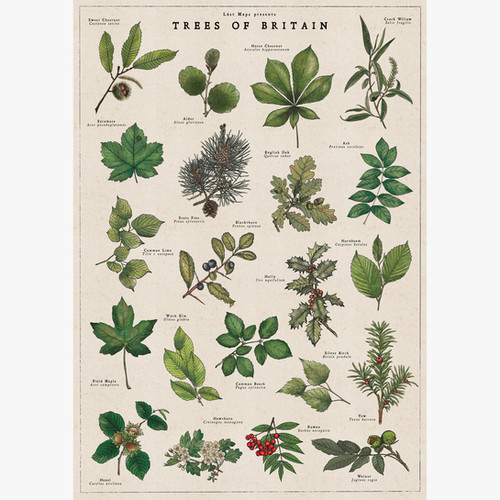 Trees of Britain Vintage Gold | Lást Maps
