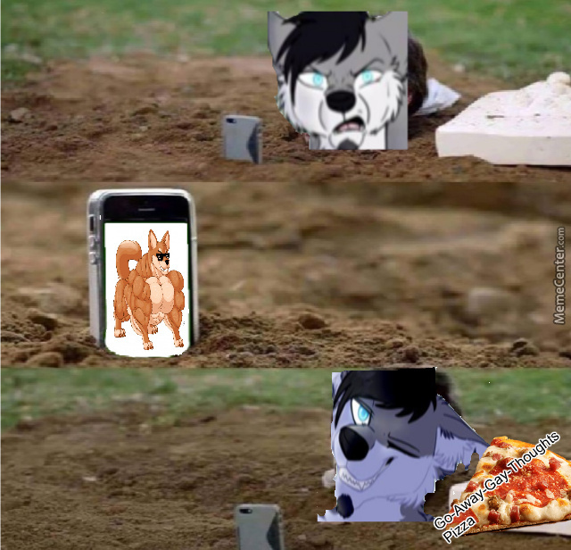 Memes | Every Frame A Pause