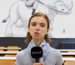 Memes | Every Frame A Pause