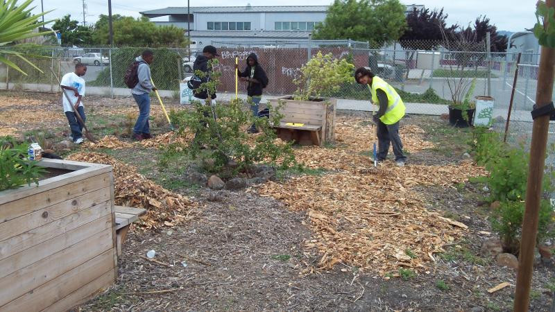 Teen Workforce Program | Higher Ground