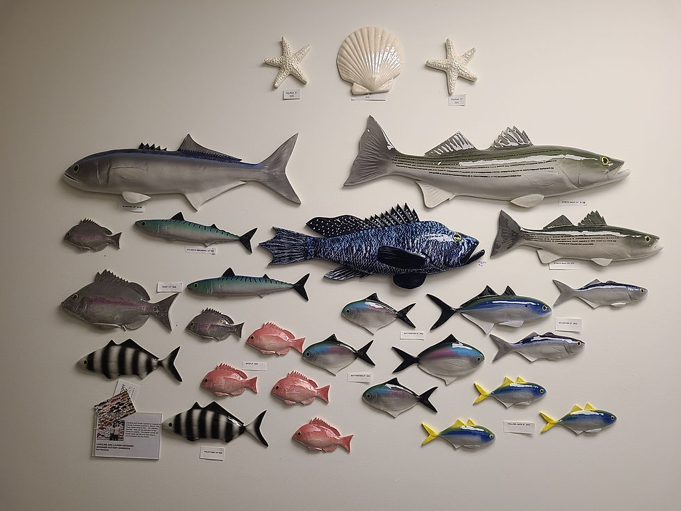 CCMOA | Cape Cod Museum of Art