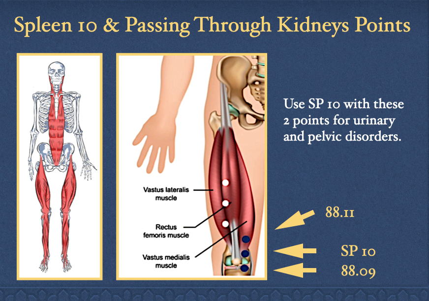 Spleen 10 & Passing Through Kidney Points