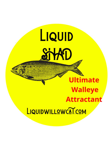 Liquid Shad | Liquid Willow Cat