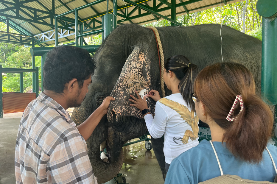 Asian Elephant Vet Clinic