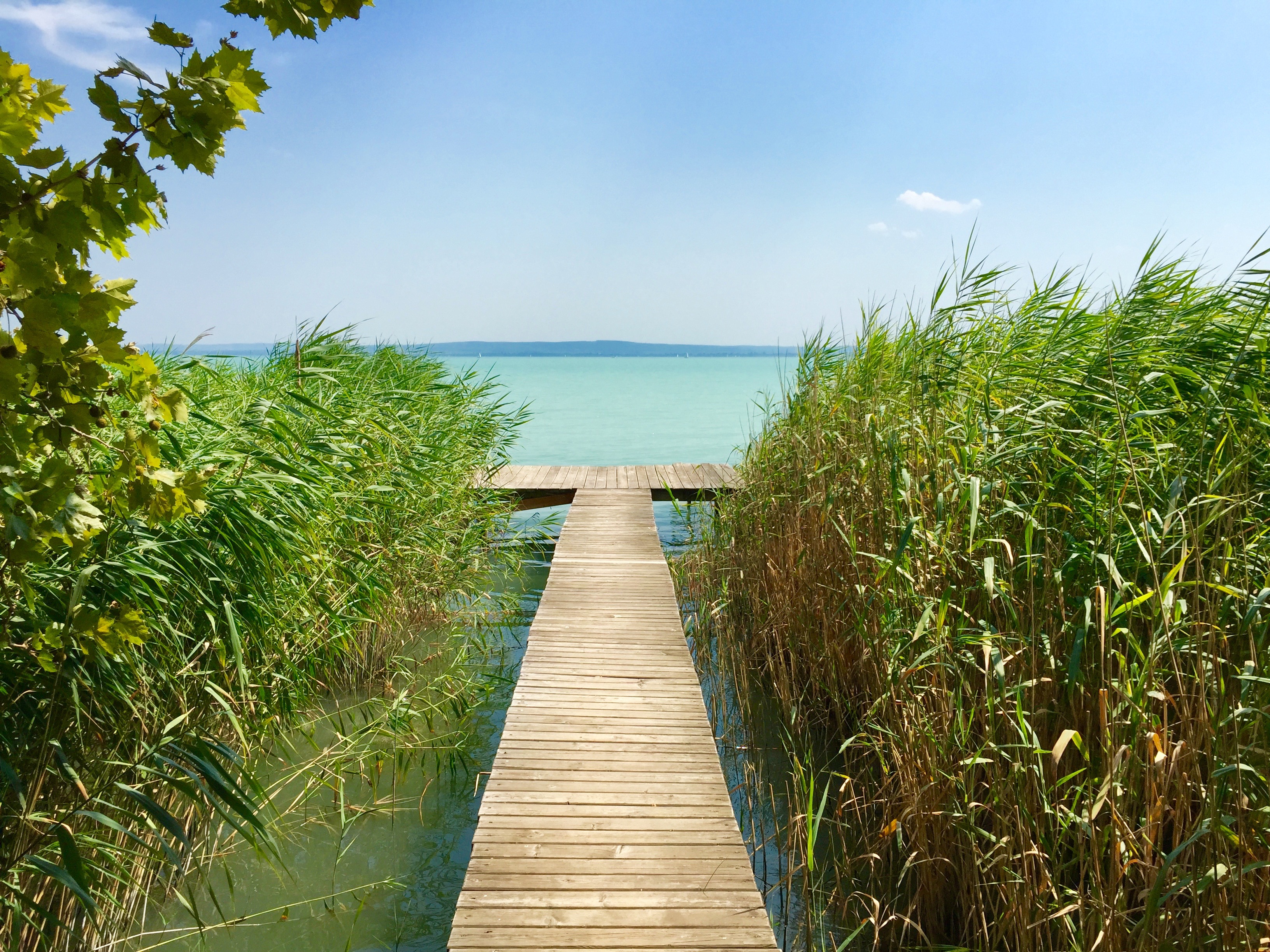 Fishing Lake Balaton | Catch Carp Hungary