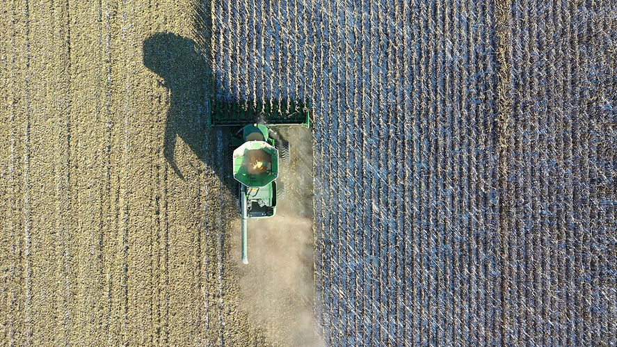 HOME | Mid-Atlantic Seeds