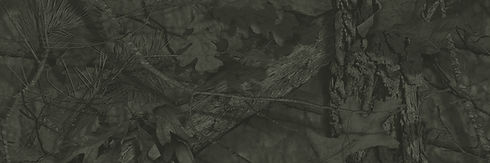 Caches de chasse | Cache de chasse