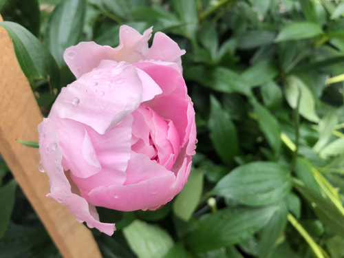 Evolve Part Two Oct 2023 | CFEH