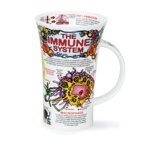 Glencoe The Immune System | Dunoon Mugs USA