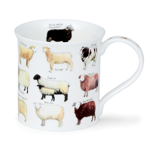 Bute Animal Breeds - Sheep | Dunoon Mugs USA