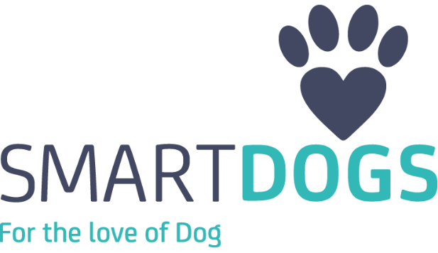 Dog Trainer | SMARTDOGS | Leeds Harrogate & York