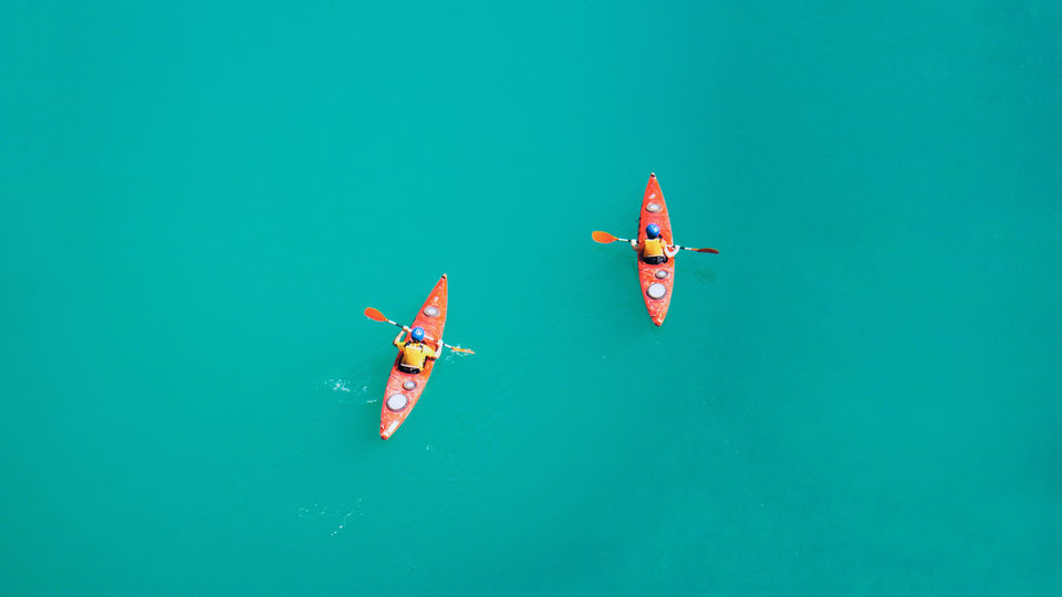 Michon Young - Official Website