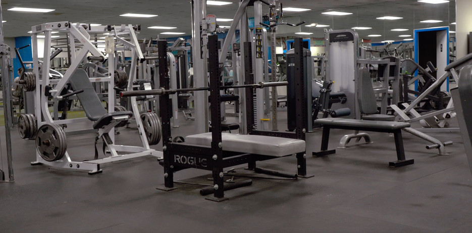HOME | The Shark Gym