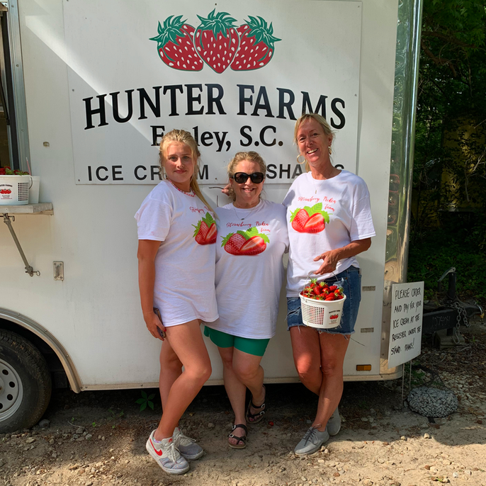 Strawberry Farm | Hunter Farms | Easley
