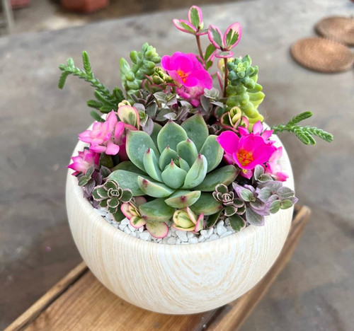 Blossom In Light Wood Globe Pot | RAYNE OR SHINE