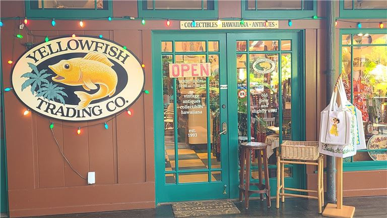 Yellowfish Trading Company