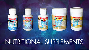 PRODUCTS | birdhealth