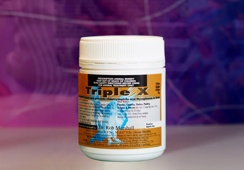 Triple X | birdhealth