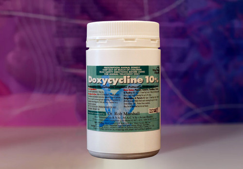 Doxycycline 10% | birdhealth