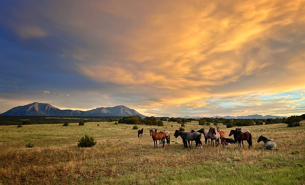River Ridge Ranch LOA | Landowners Association | Huerfano County, CO, USA