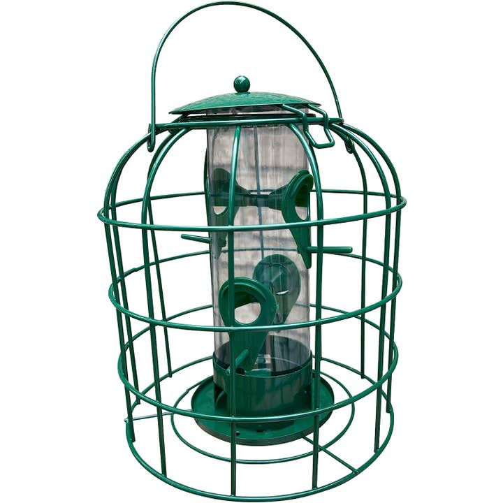 Squirrel Proof Bird Feeder | waterlilies