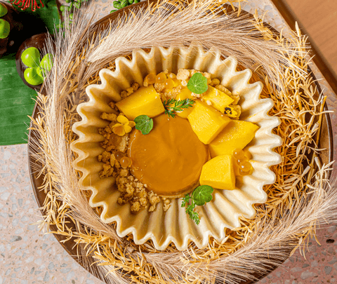 Mango Forest | MANGO COCO