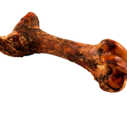 Beef Femur | Frank Stoysich Meats