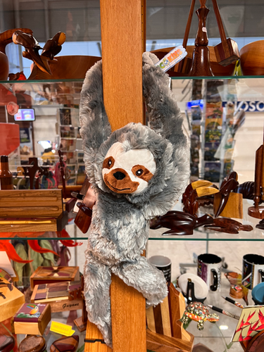 PELUCHE SINGE ATELE GM | Label Guyane Shop