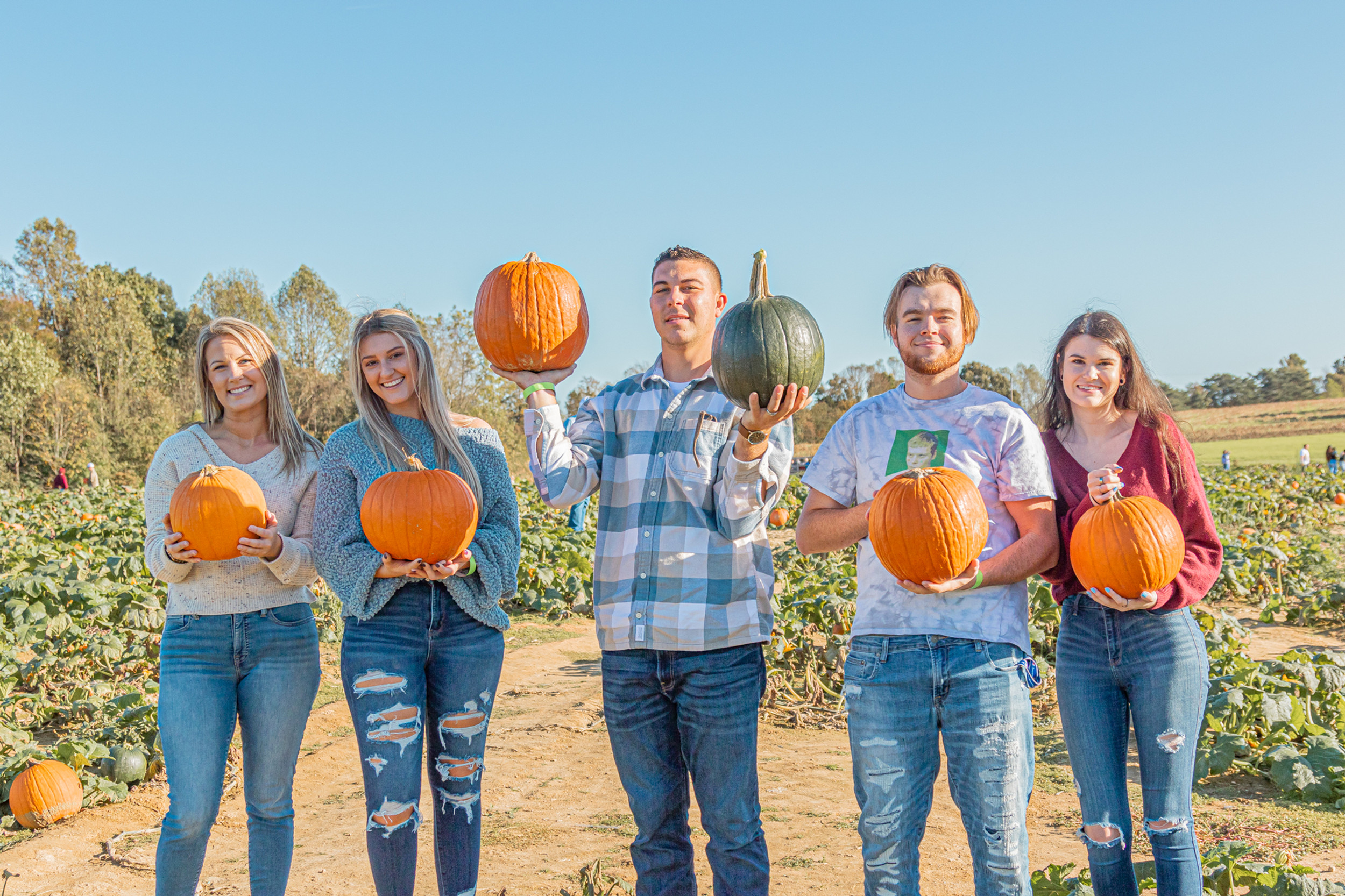 Bear Wallow Farm | Nancy, KY | Fall Attractions