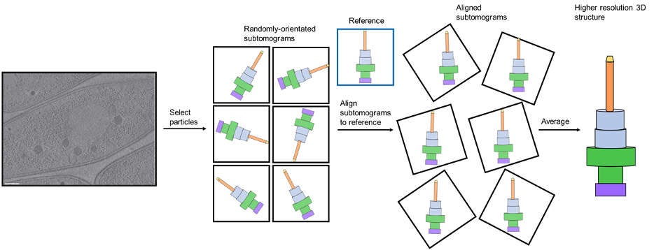The Molecular World Through A New Lens How Cryo Em Works