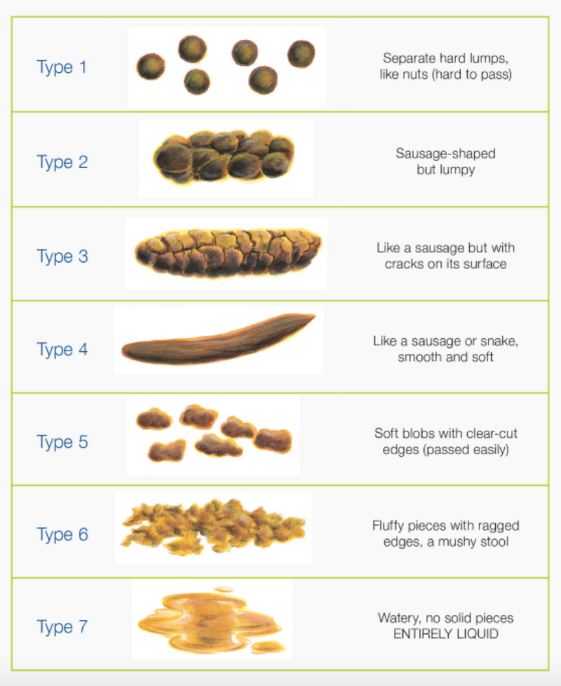 Understanding Constipation and How to Relieve it