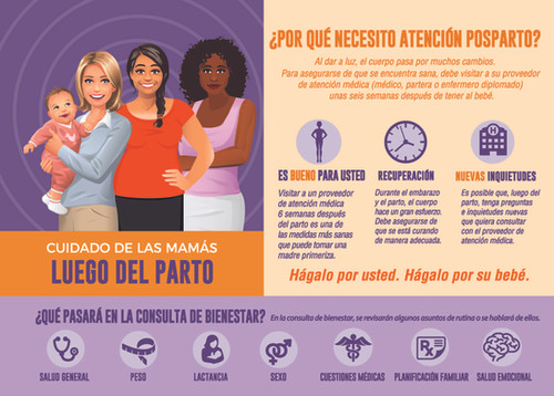Postpartum Visit Infographic Poster (Spanish) | The Cooperative