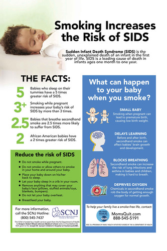 SIDS Infographic Flyer (English) | The Cooperative